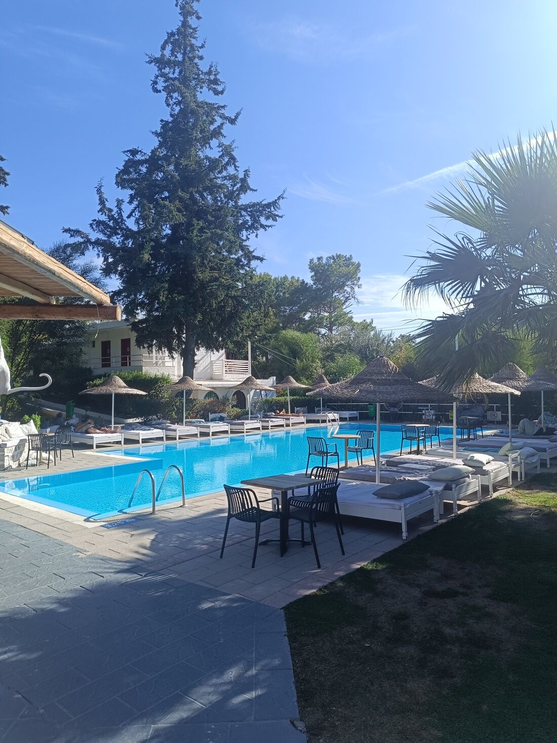 Hôtel Trees Art Boutique 3* - Aduts Only | Grèce - Iles grecques ...