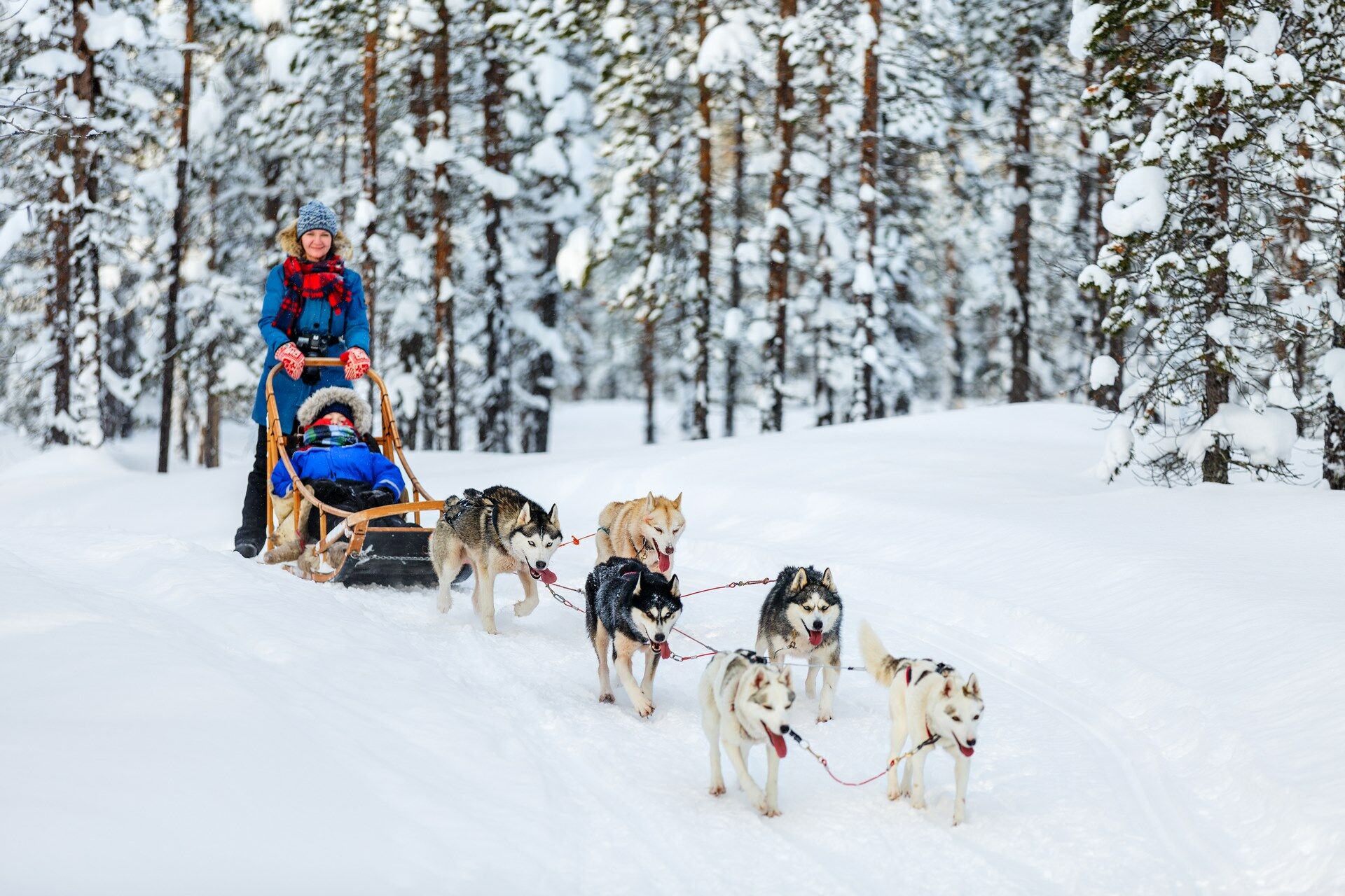 Séjour Multi-activités à l'hôtel Akashotelli | Finlande - Laponie ...